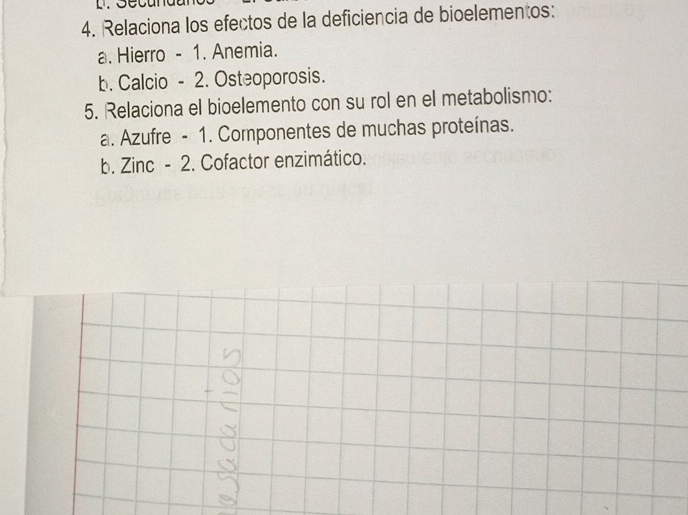 4. Relaciona los efectos de la deficiencia | StudyX