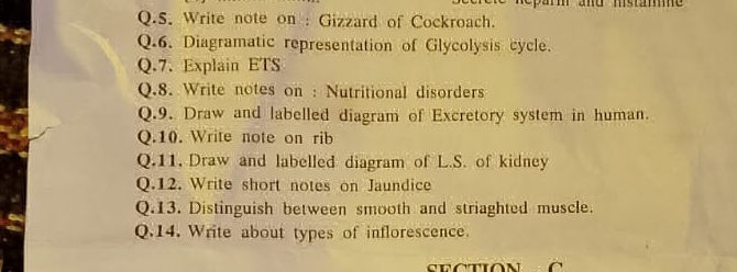 Q.5. Write note on Gizzard of Cockroach. | StudyX