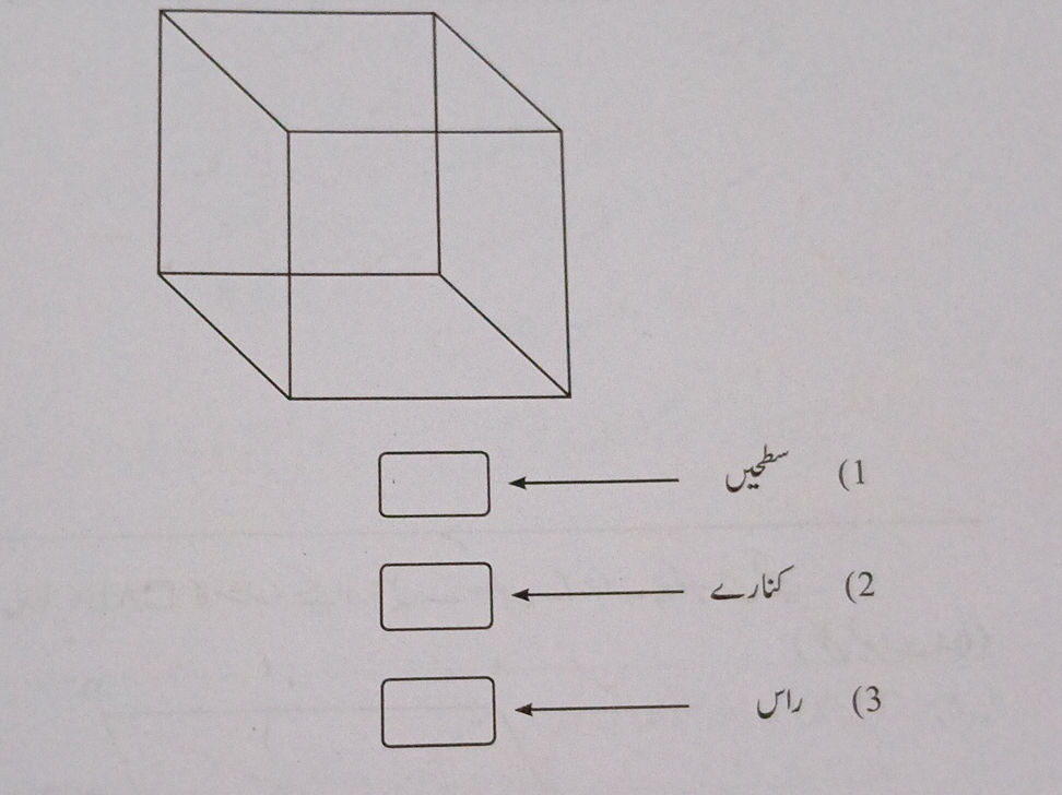 The image shows a 3D cube and asks to label | StudyX