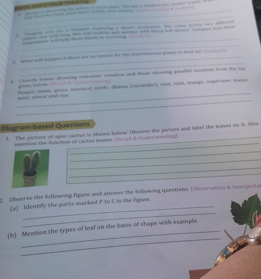 1. The picture of spur cactus is shown | StudyX