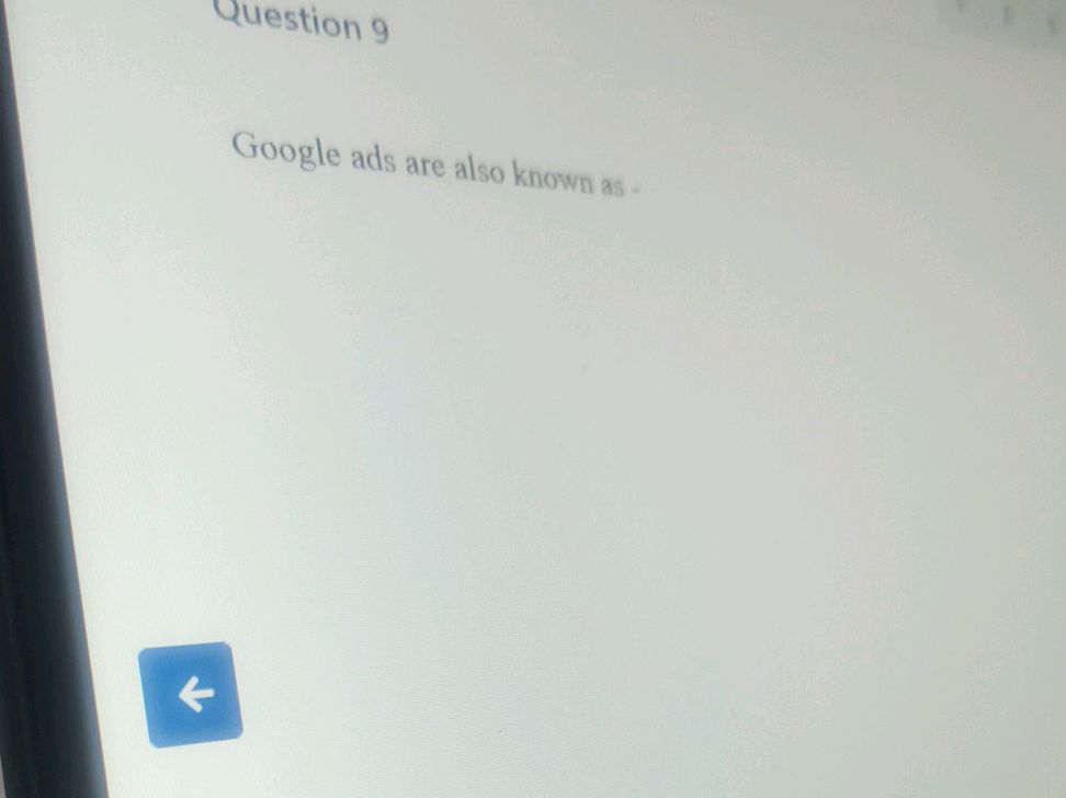 Google Ads Terminology | StudyX