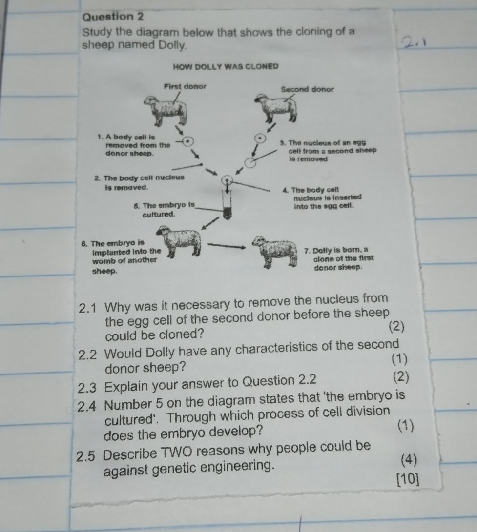Question 2 Study the diagram below that | StudyX