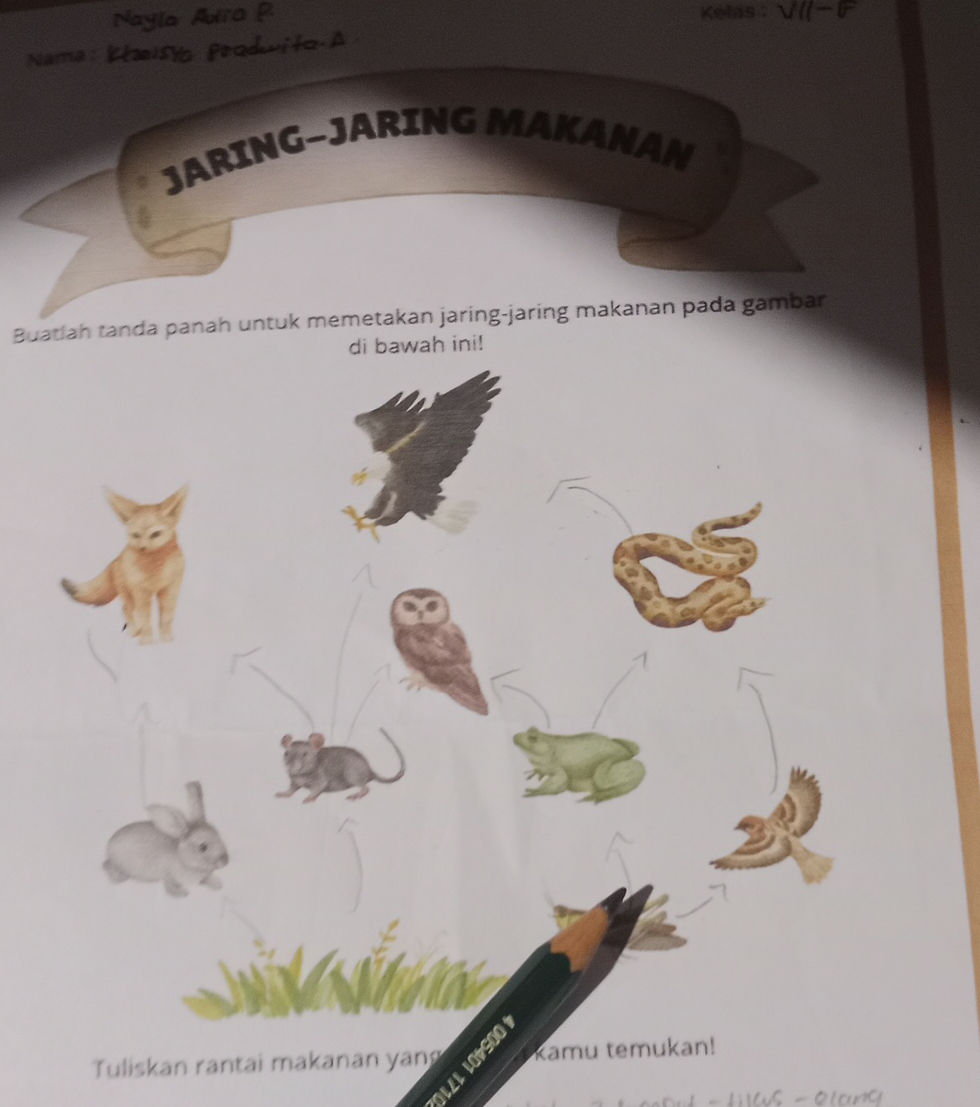 Buatlah tanda panah untuk memetakan | StudyX