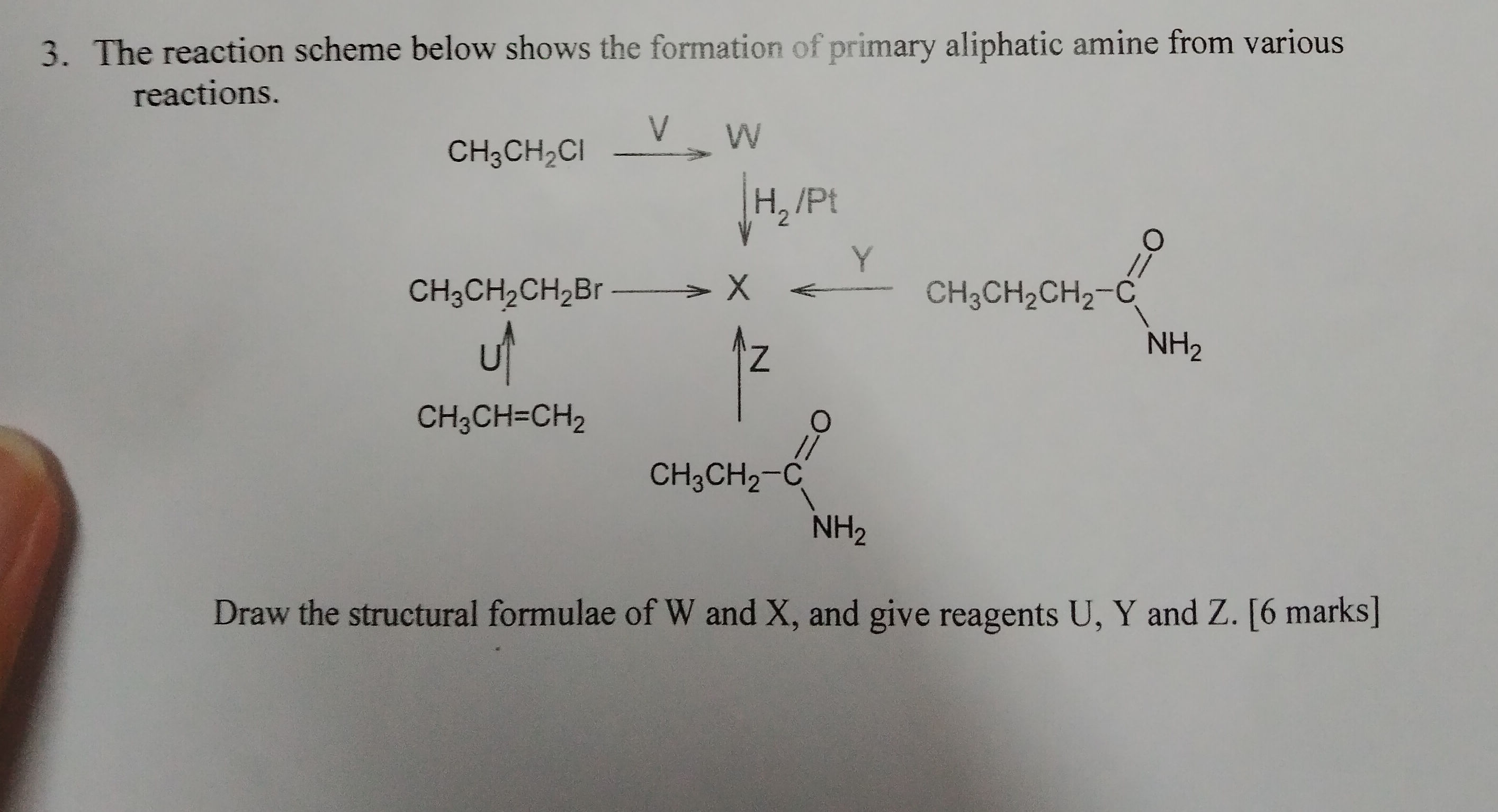 3. The reaction scheme below shows the | StudyX