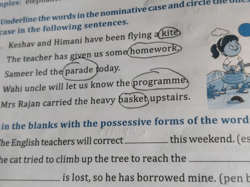 Underline the words in the nominative case | StudyX