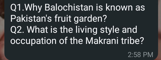 Q1. Why Balochistan is known as Pakistan's | StudyX