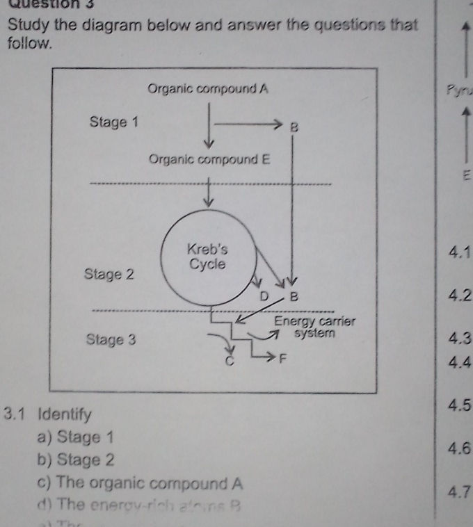 Study the diagram below and answer the | StudyX