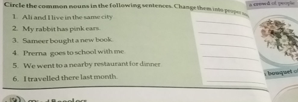 Circle the common nouns in the following | StudyX