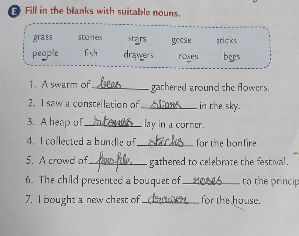Fill in the blanks with suitable nouns. | StudyX