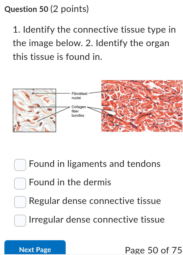 1. Identify the connective tissue type in | StudyX