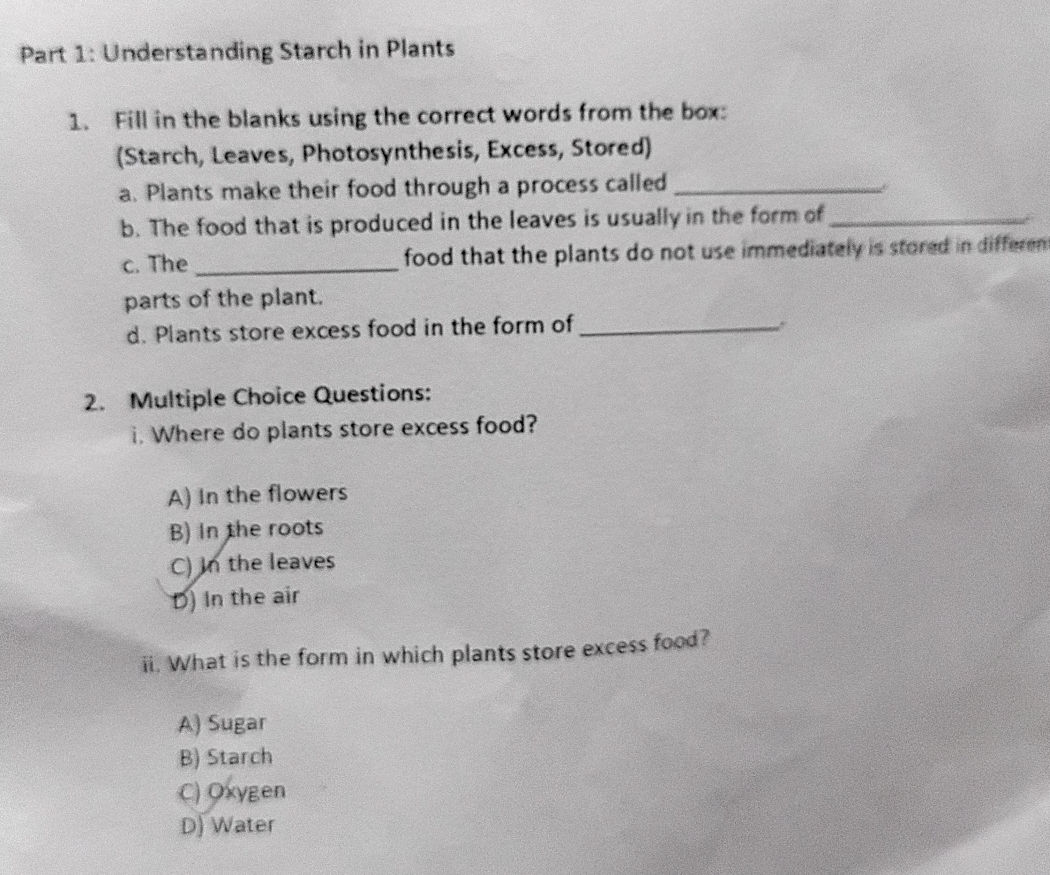 Part 1: Understanding Starch in Plants 1. | StudyX