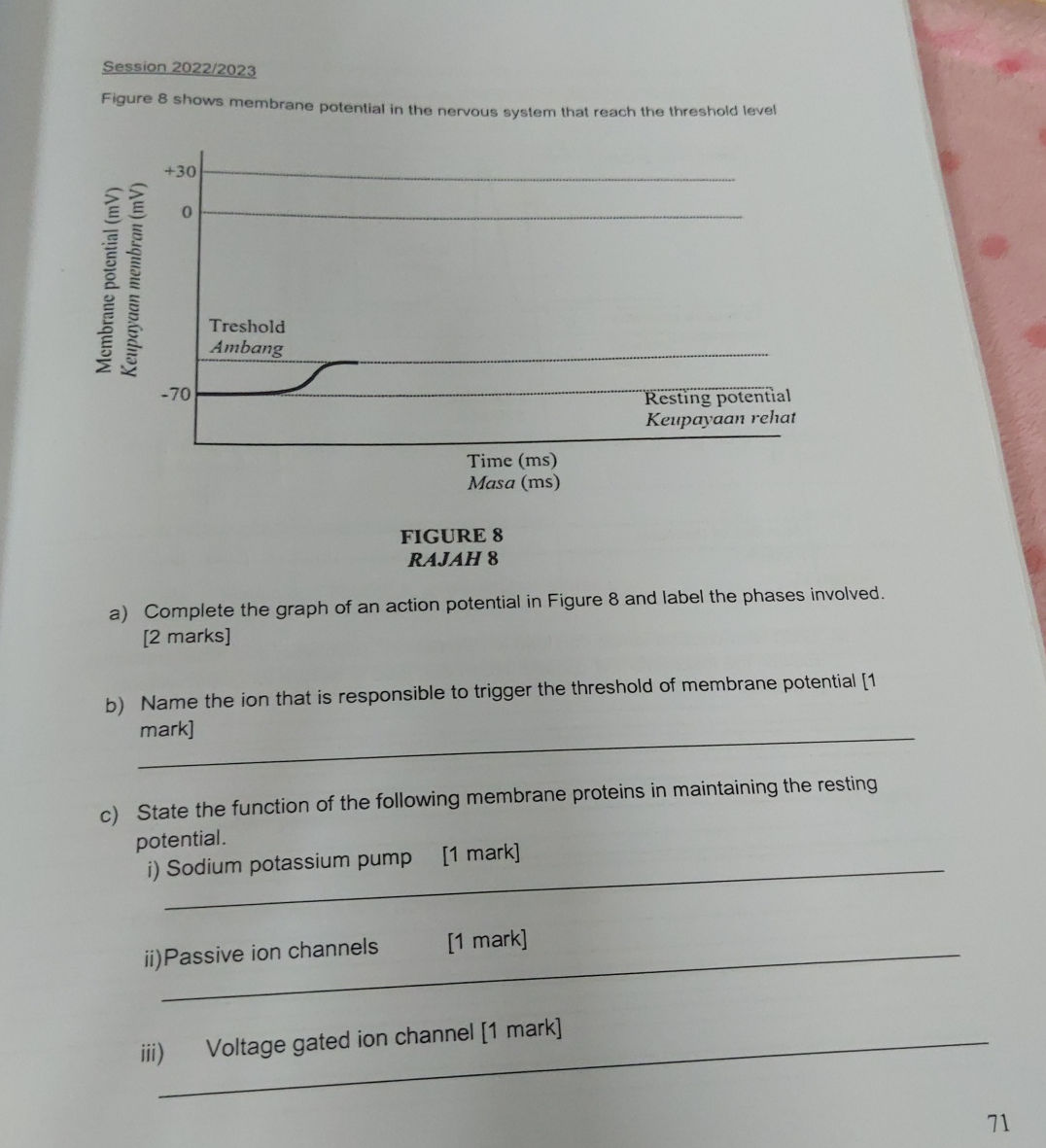 a) Complete the graph of an action potential | StudyX
