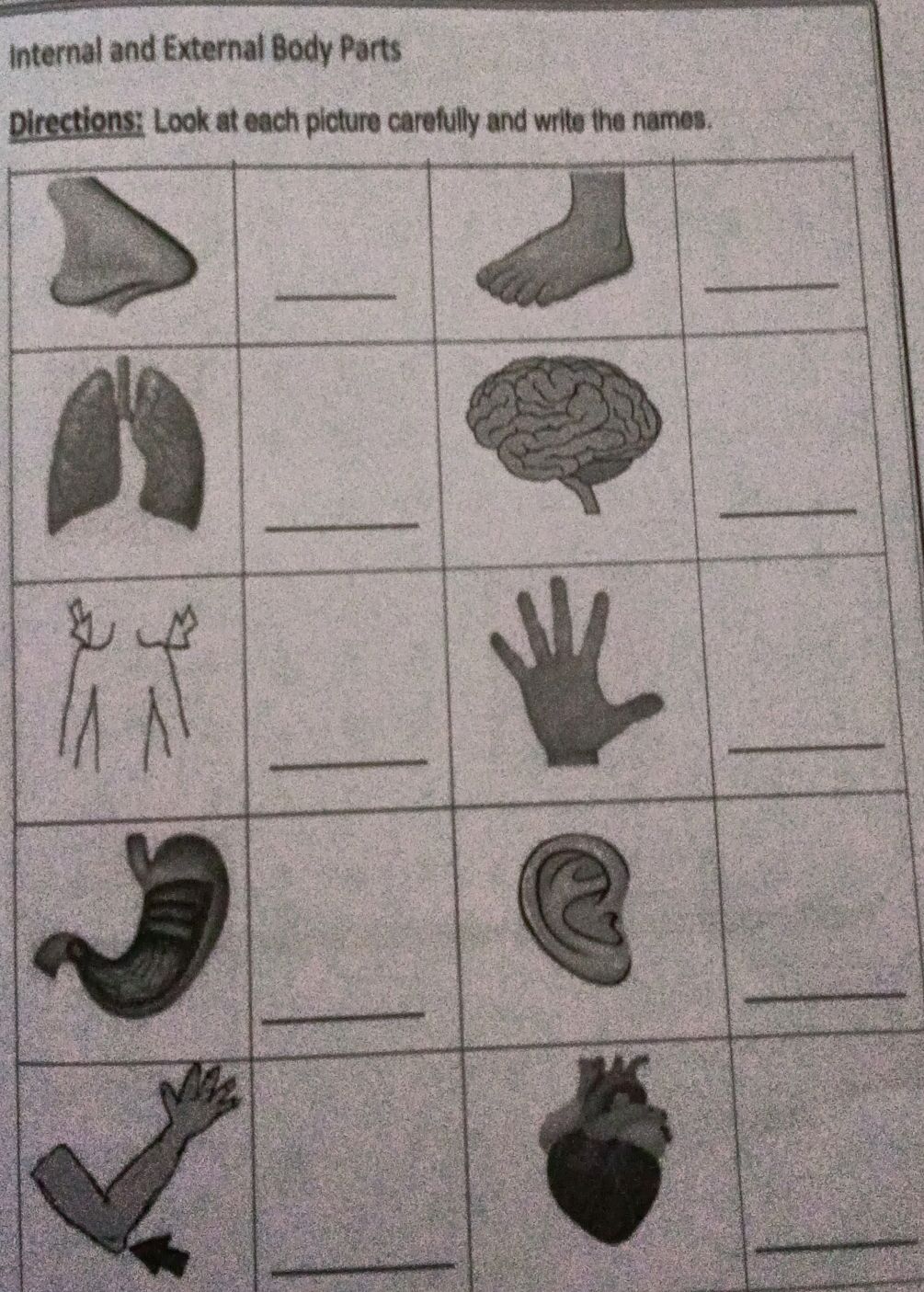 Directions: Look at each picture carefully | StudyX