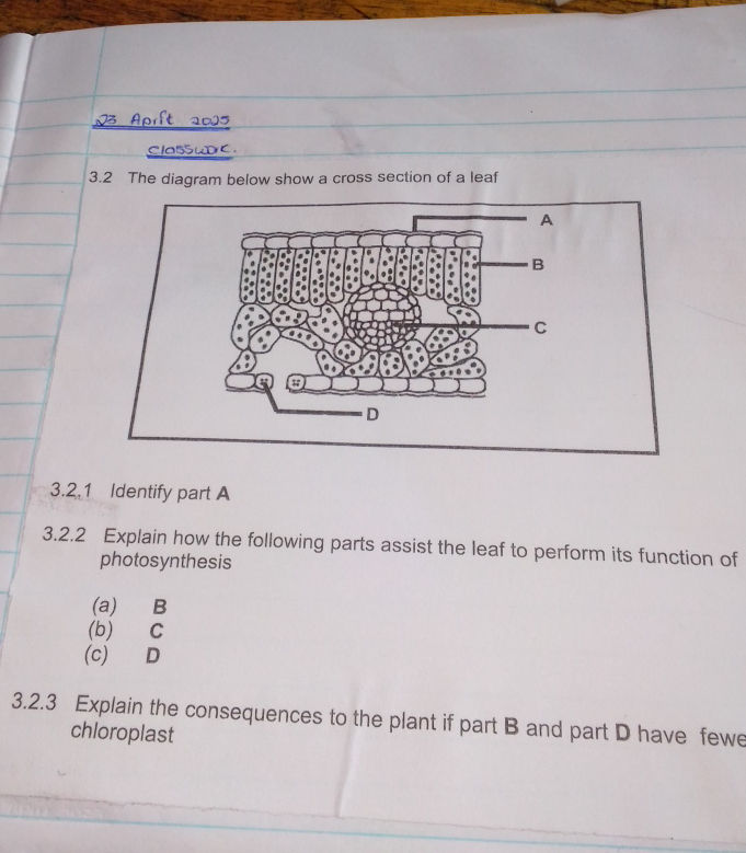 3.2 The diagram below show a cross section | StudyX