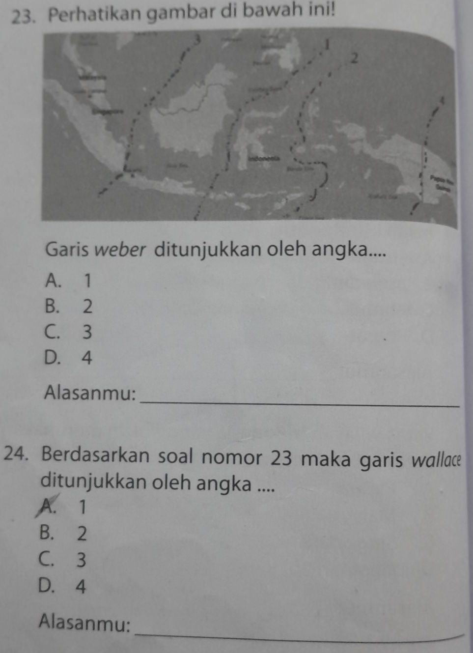 23. Perhatikan gambar di bawah ini! Garis | StudyX