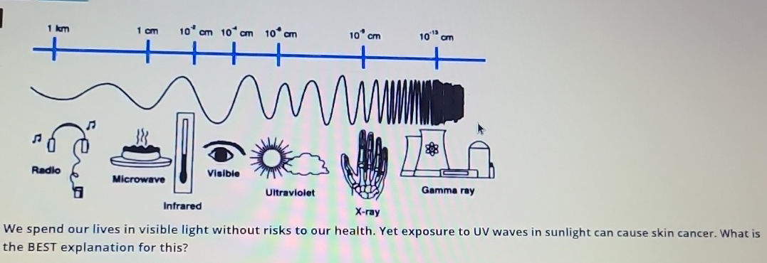We spend our lives in visible light without | StudyX
