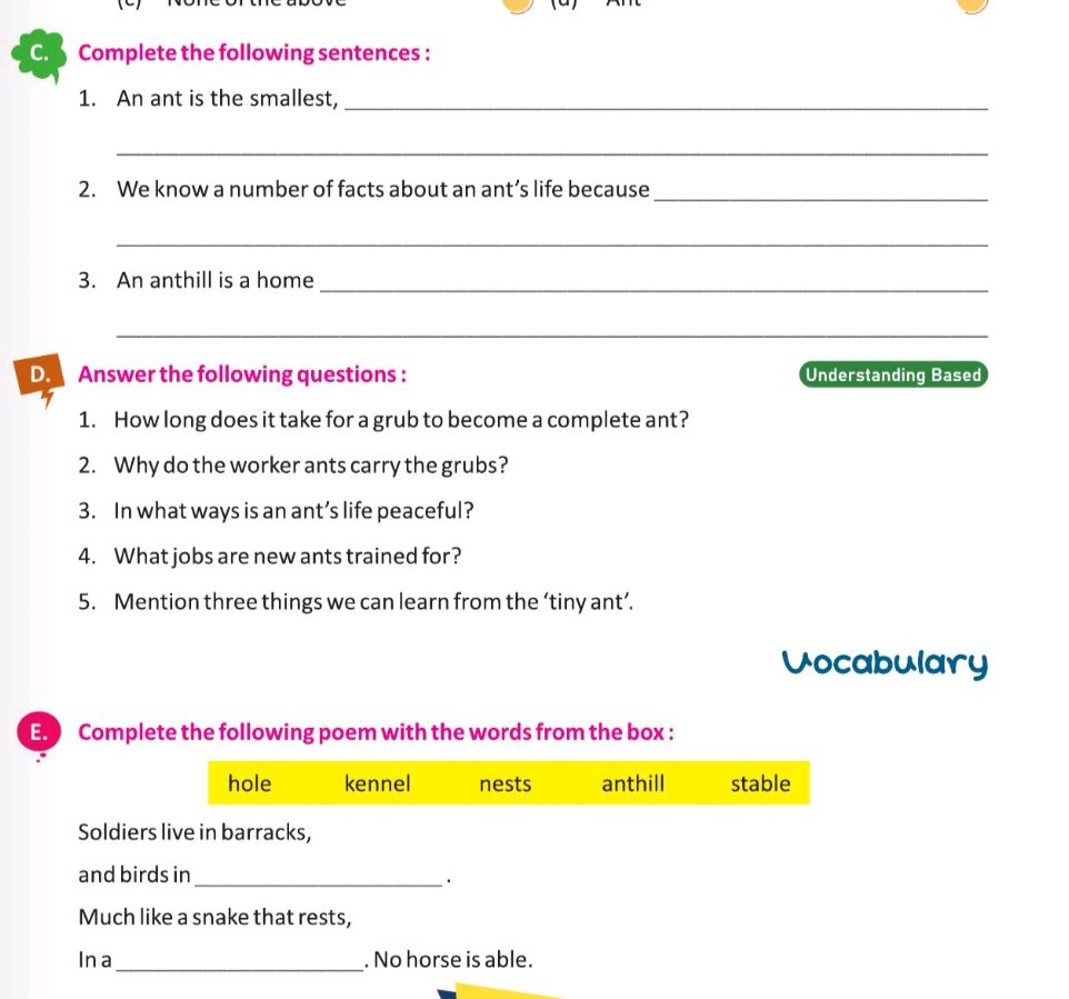 C. Complete the following sentences: 1. An | StudyX