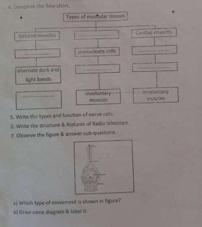 4. Complete the flow chart Types of | StudyX