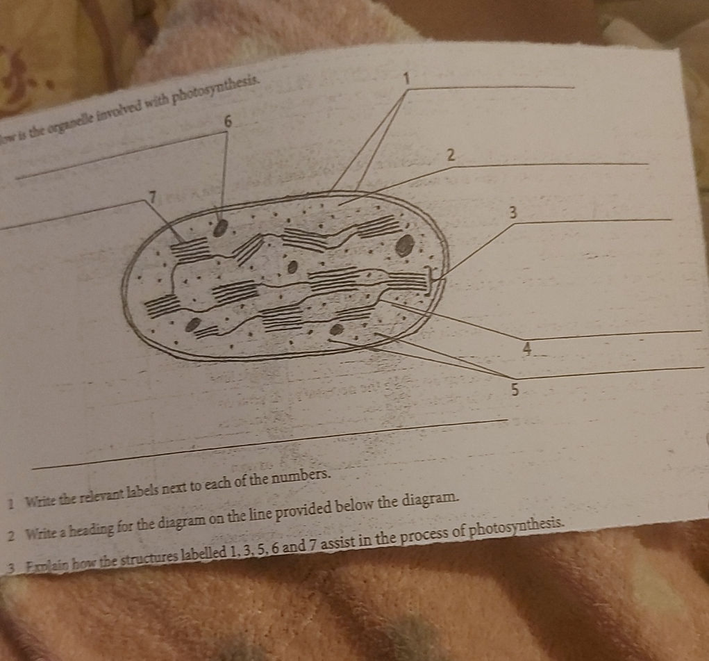 1. Write the relevant labels next to each of | StudyX