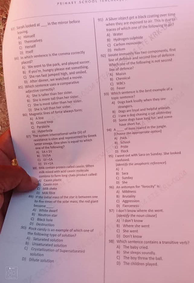 83) Sarah looked at ____ in the mirror | StudyX