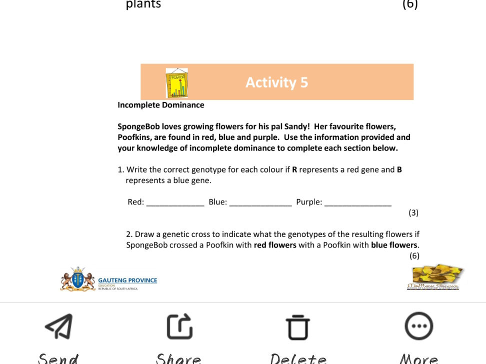 1. Write the correct genotype for each | StudyX