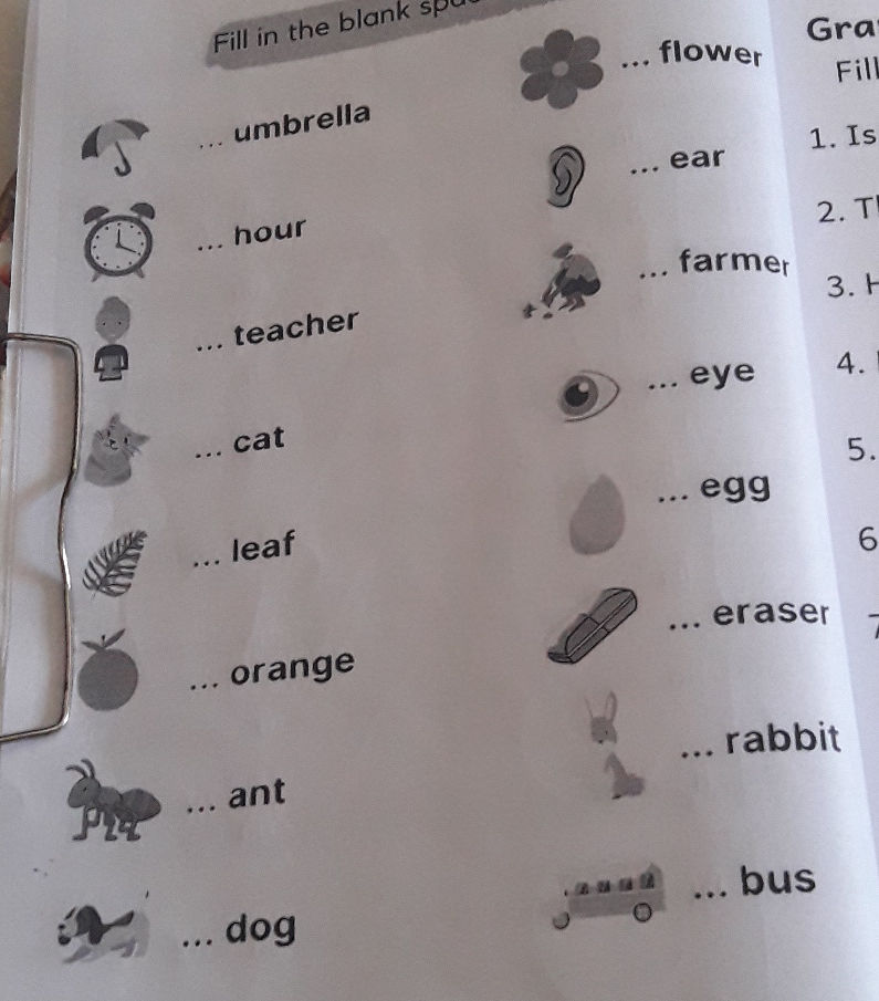 Fill in the blank space ... umbrella ... | StudyX