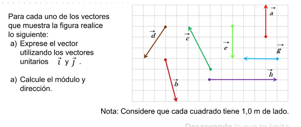 Para cada uno de los vectores que muestra la | StudyX