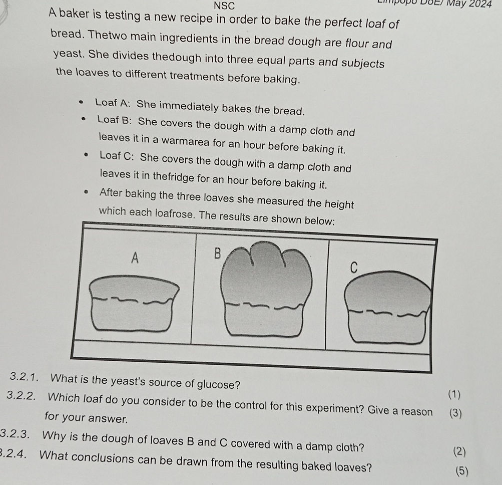 A baker is testing a new recipe in order to | StudyX