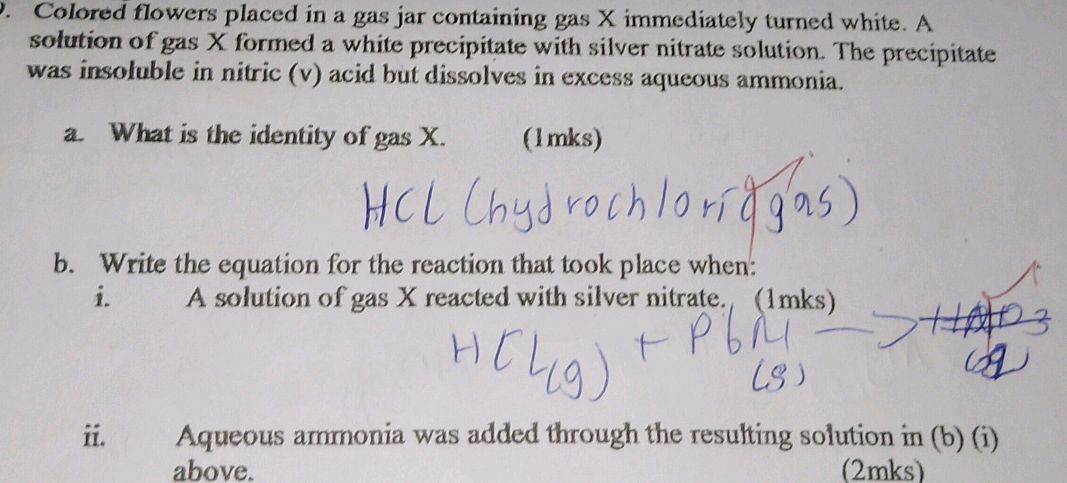 a. What is the identity of gas X. (1mks) | StudyX