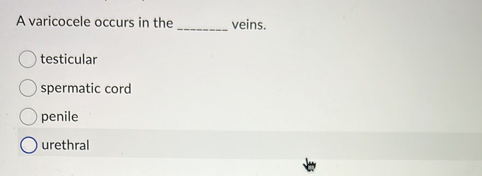A varicocele occurs in the ______ veins. | StudyX