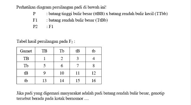 Perhatikan diagram persilangan padi di bawah | StudyX
