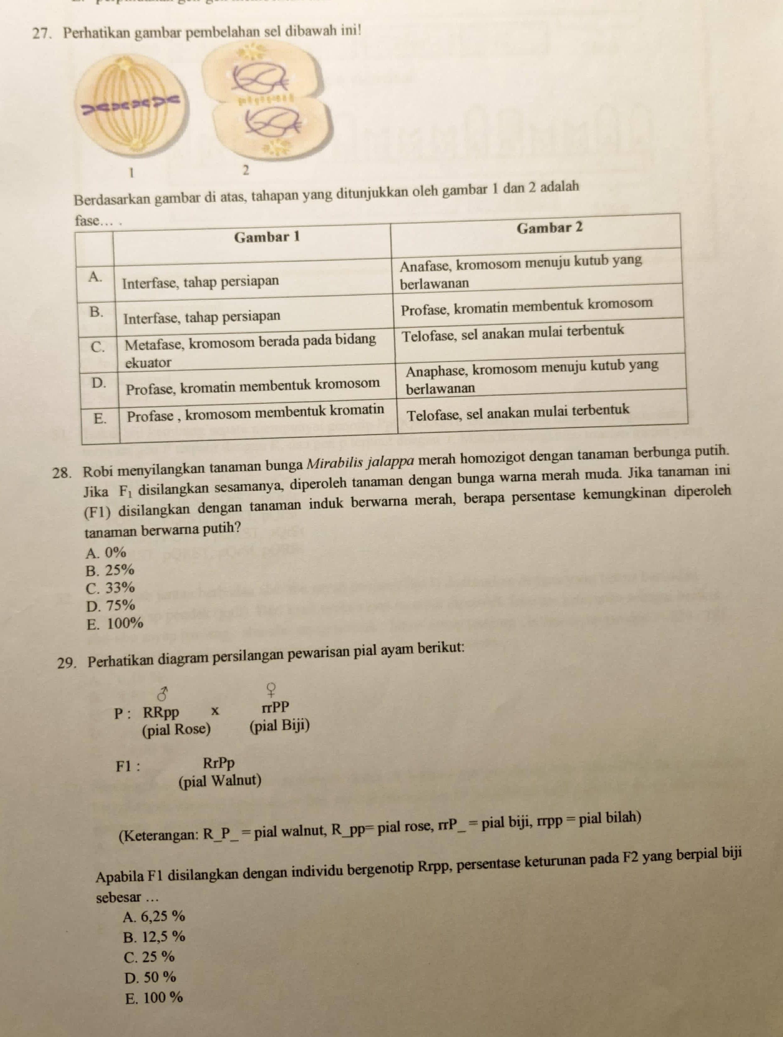 27. Perhatikan gambar pembelahan sel dibawah | StudyX