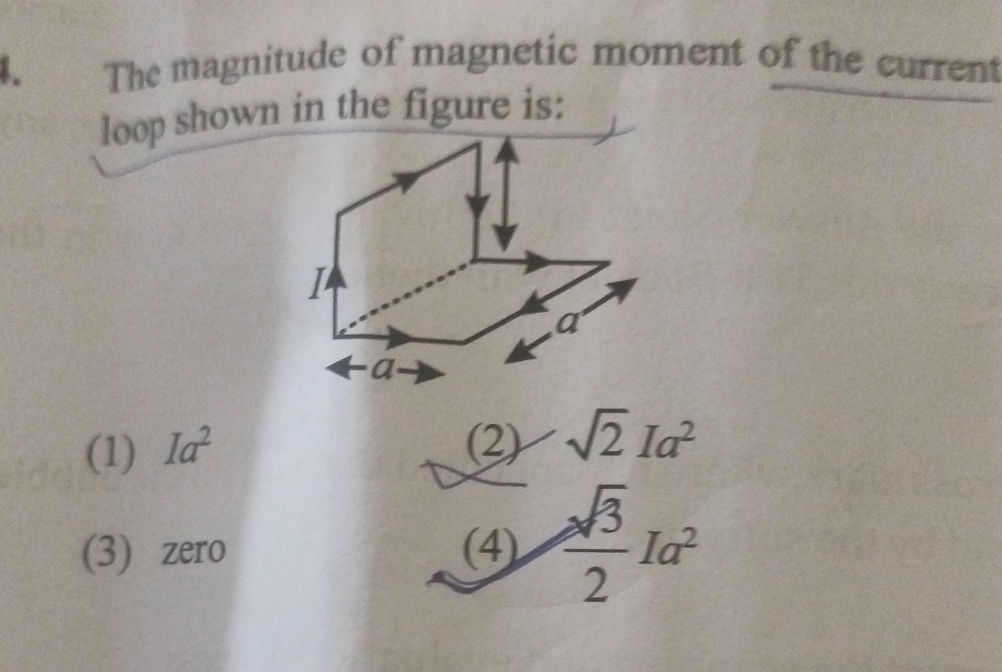 The magnitude of magnetic moment of the | StudyX
