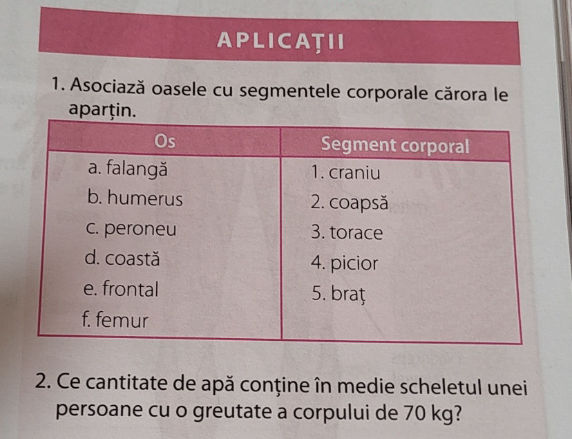 1. Asociază oasele cu segmentele corporale | StudyX