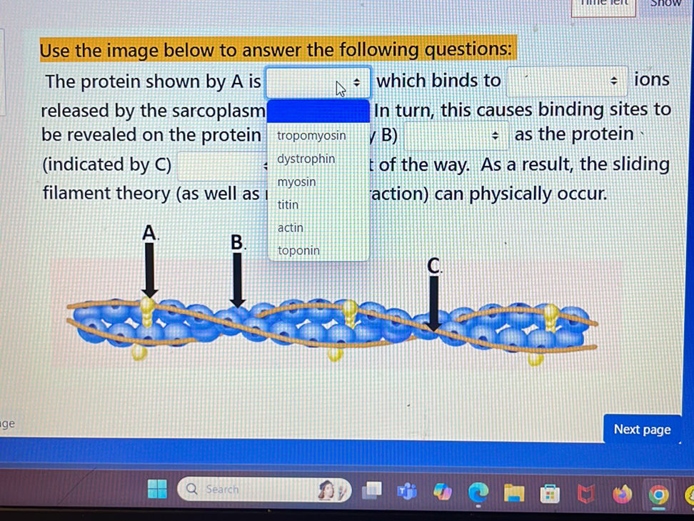 Use the image below to answer the following | StudyX