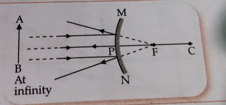 The image shows a diagram of a concave | StudyX