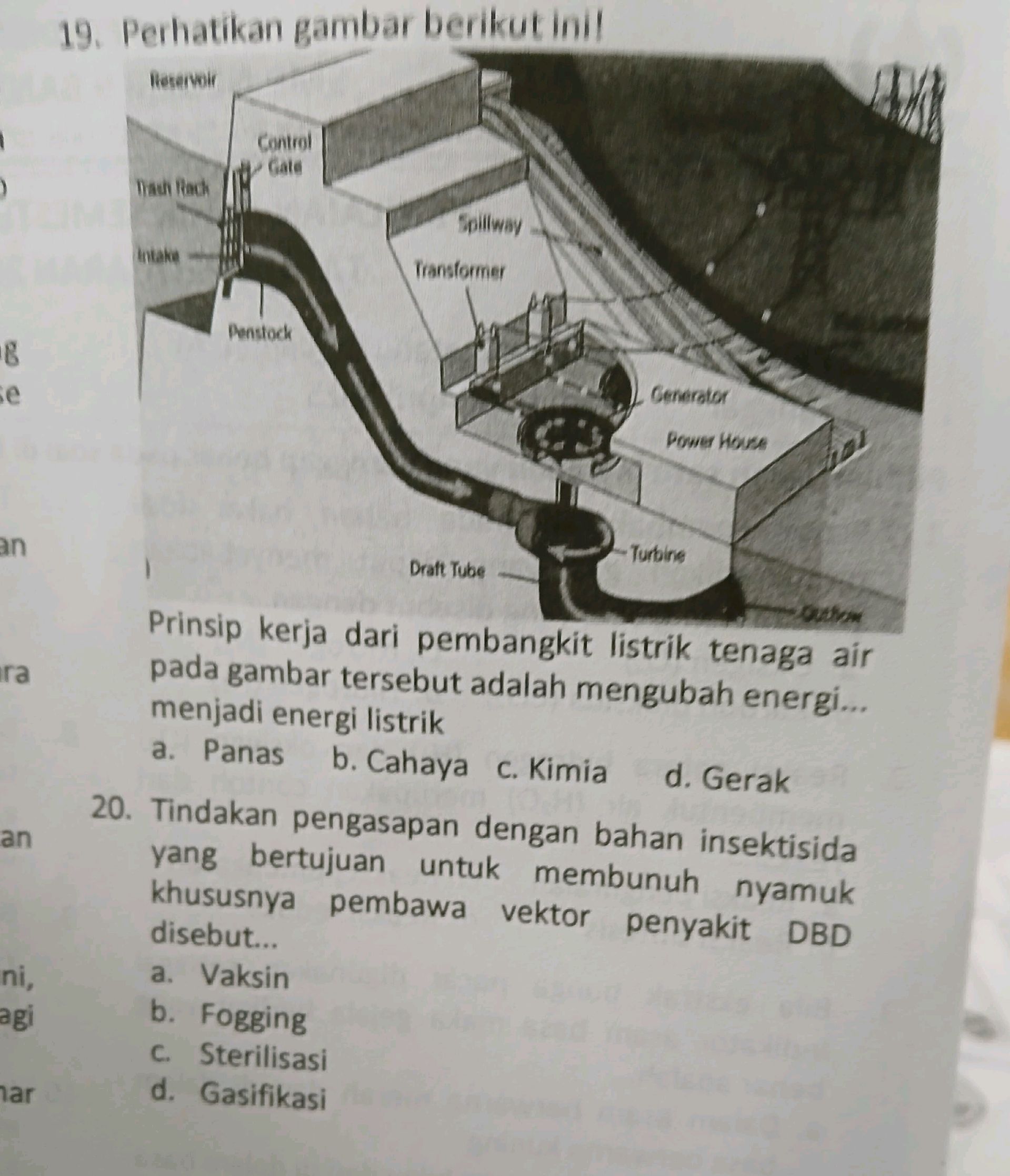 19. Perhatikan gambar berikut ini! Prinsip | StudyX