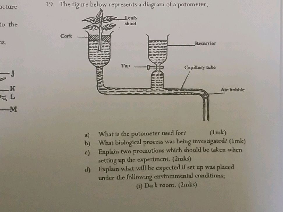 19. The figure below represents a diagram of | StudyX