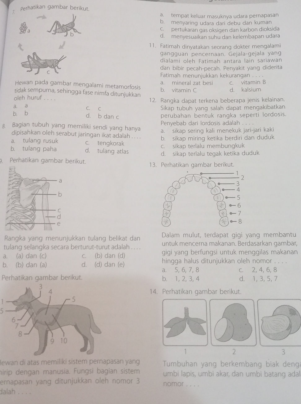 7. Perhatikan gambar berikut. ``` [Image of | StudyX