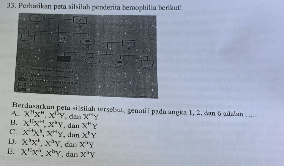 33. Perhatikan peta silsilah penderita | StudyX