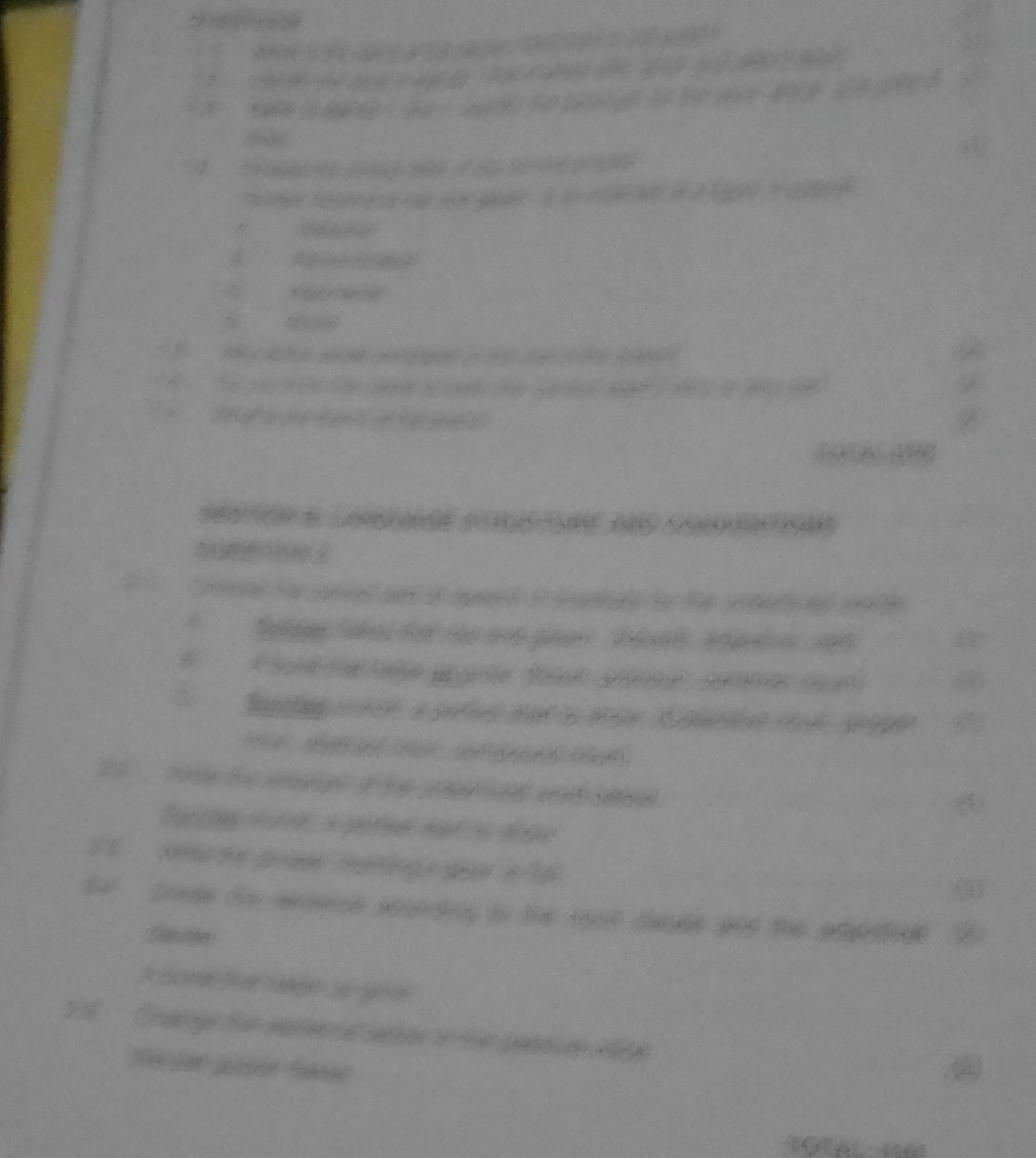 SECTION B: LANGUAGE STRUCTURE AND | StudyX