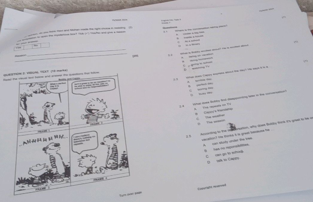 2. QUESTION 2: VISUAL TEXT (10 marks) Read | StudyX