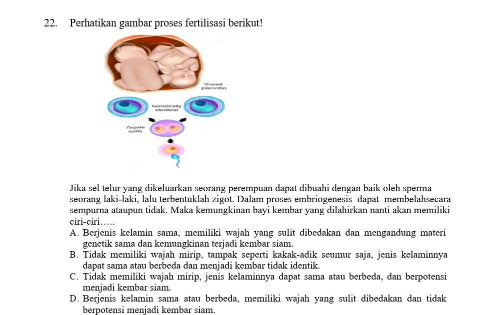 22. Perhatikan gambar proses fertilisasi | StudyX
