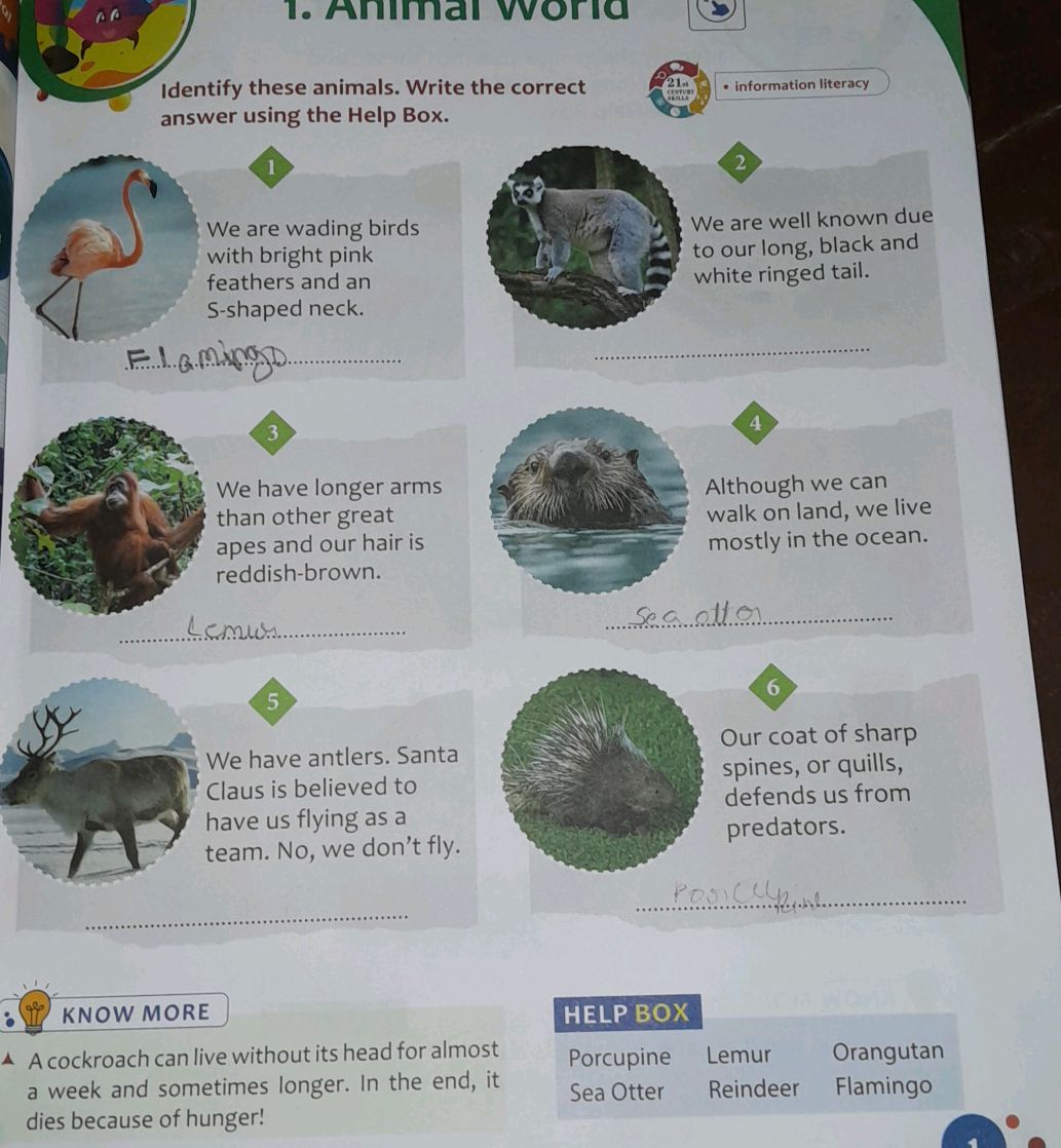 Identify these animals. Write the correct | StudyX