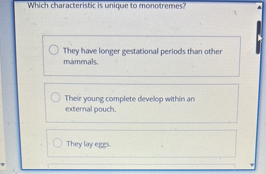Which characteristic is unique to | StudyX