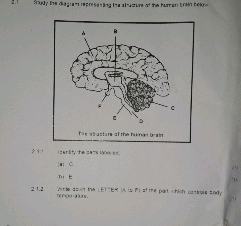 2.1 Study the diagram representing the | StudyX
