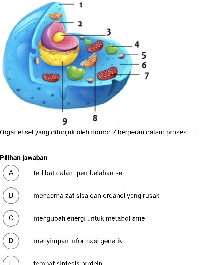 Organel sel yang ditunjuk oleh nomor 7 | StudyX