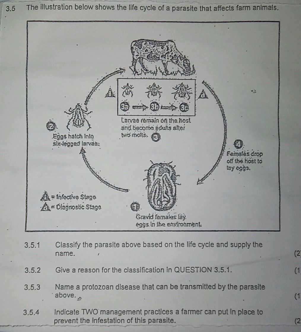 3. The illustration below shows the life | StudyX