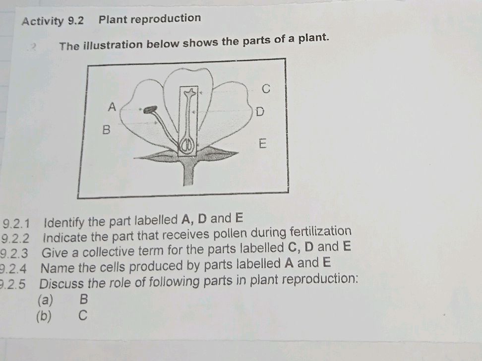 The illustration below shows the parts of a | StudyX