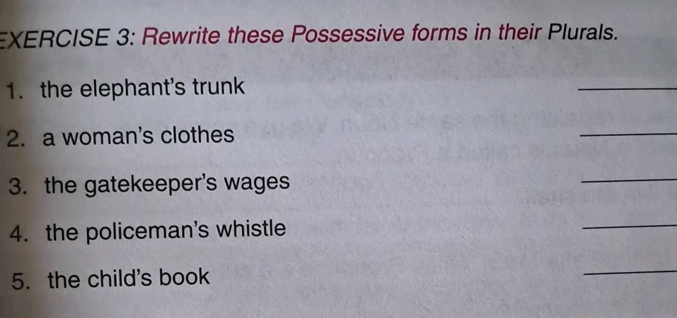 EXERCISE 3: Rewrite these Possessive forms | StudyX